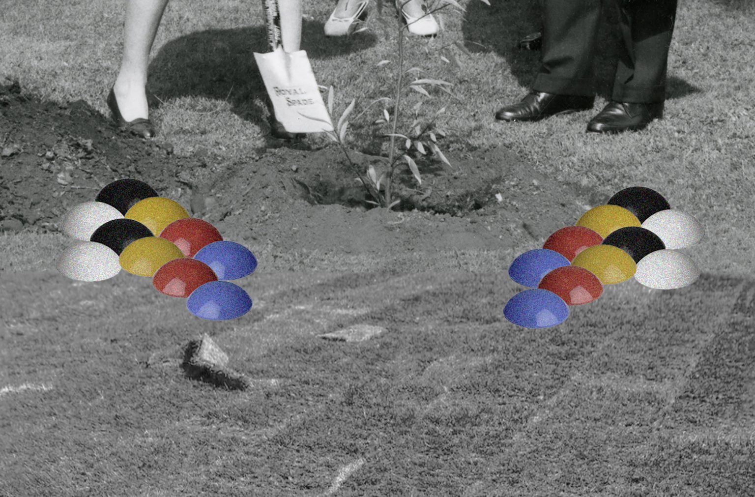 Steven Rhall | PHOTO 2026