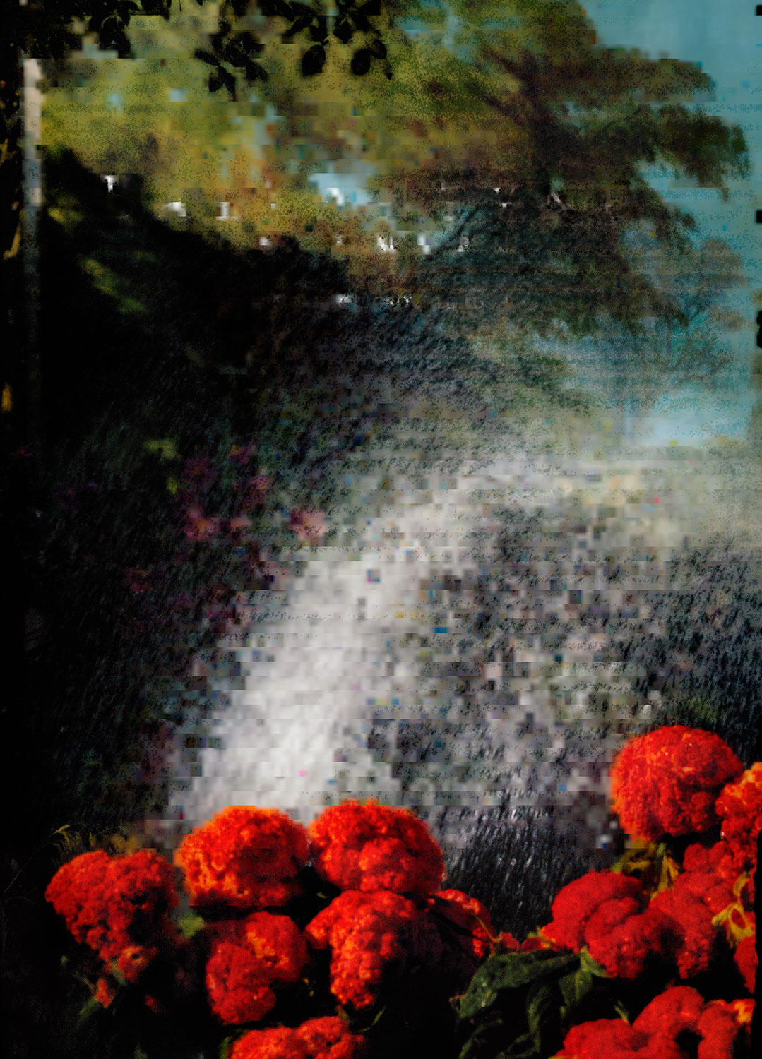 Christian Capurro | PHOTO Australia