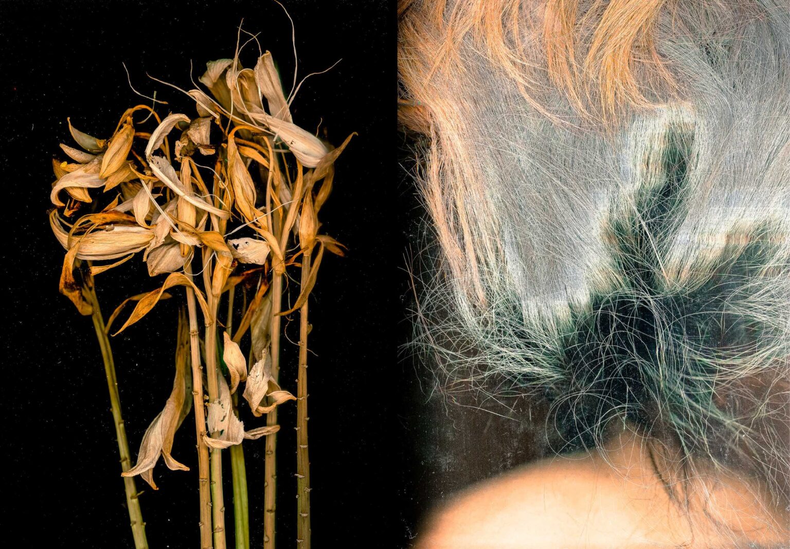 Shwe Wutt Hmon | PHOTO 2026