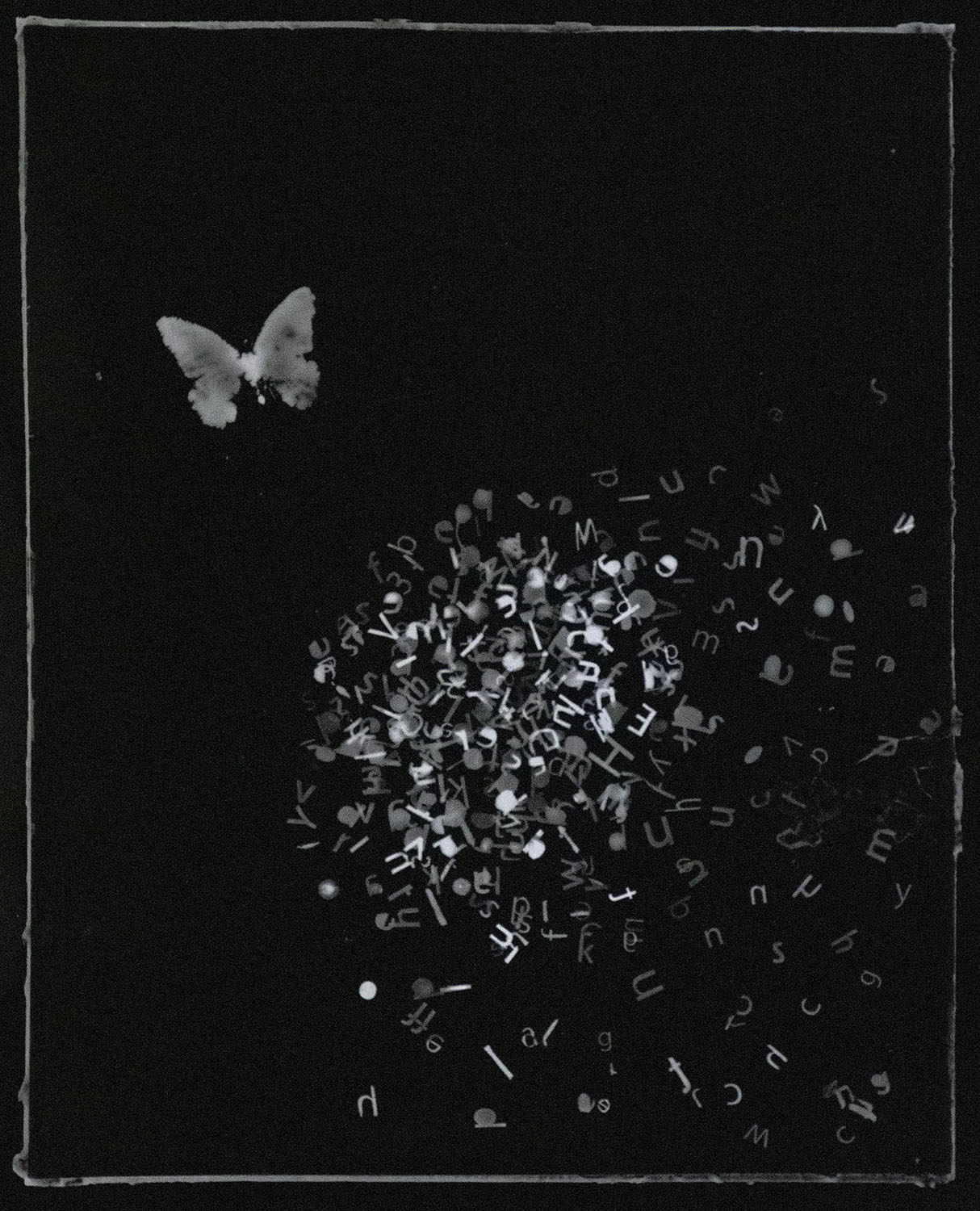 Opening reception: Martin Smith | PHOTO 2026