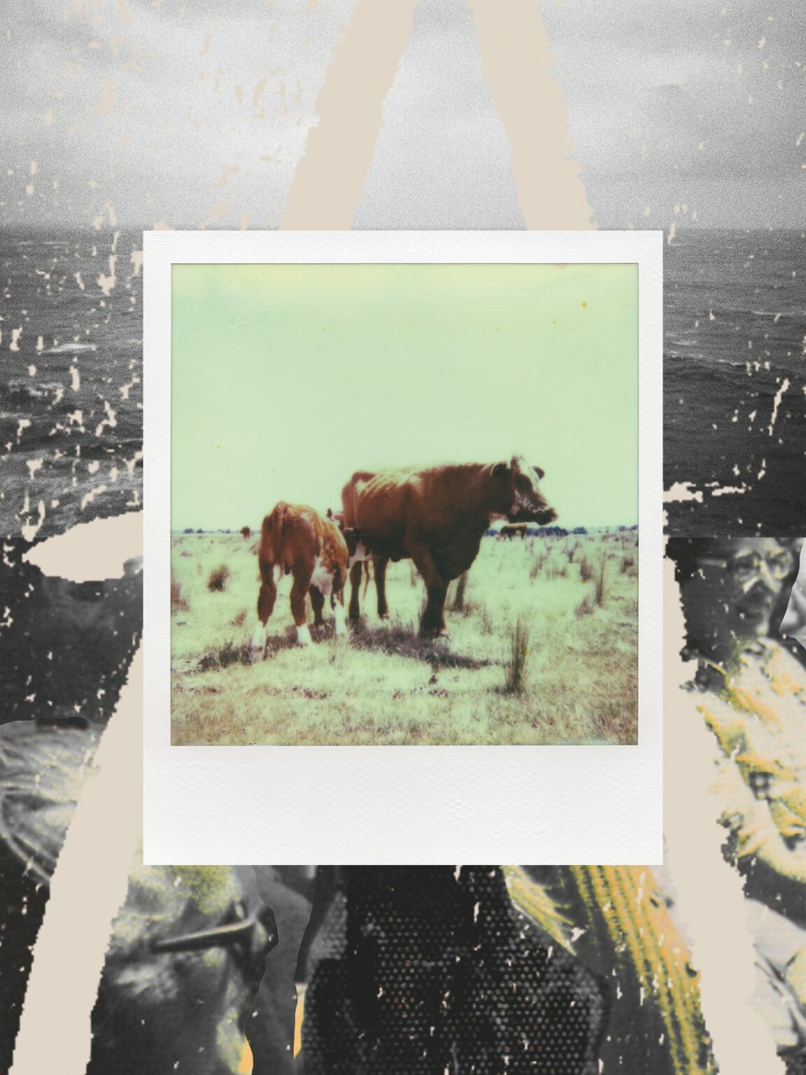 Dean Cross | PHOTO Australia