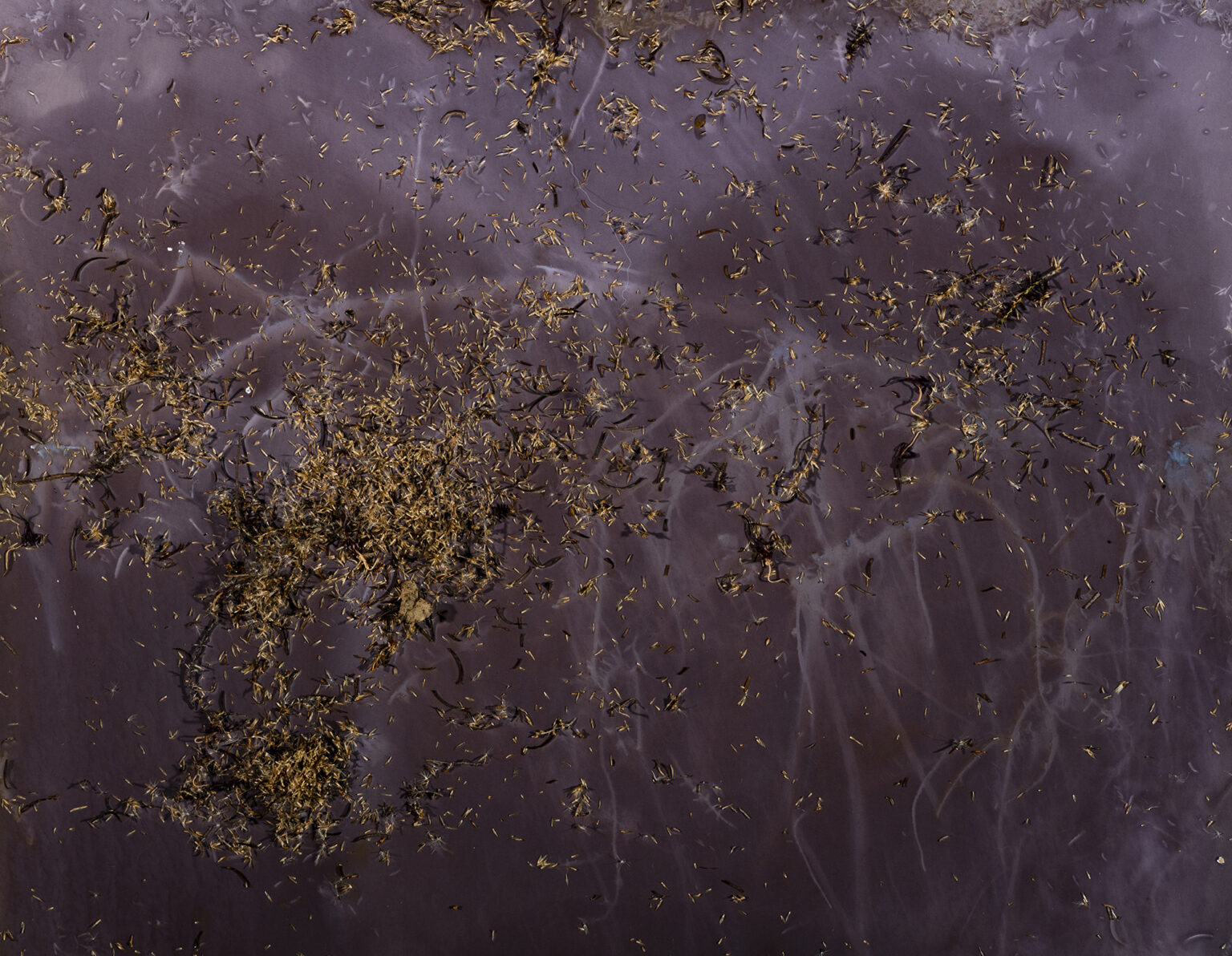 Surrounding | PHOTO Australia