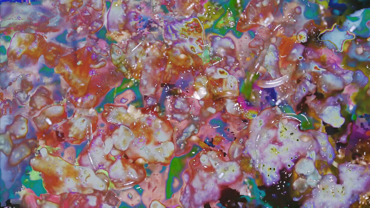 Future Anterior | PHOTO Australia